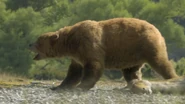 Arctotherium | Prehistoric Planet Wiki | Fandom