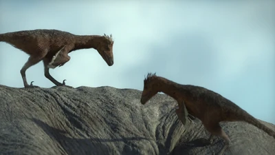 alamosaurus size comparison