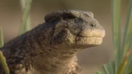 Islands | Prehistoric Planet Wiki | Fandom