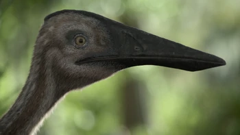 Mongolian Azhdarchid | Prehistoric Planet Wiki | Fandom