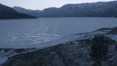 Imperobator | Prehistoric Planet Wiki | Fandom