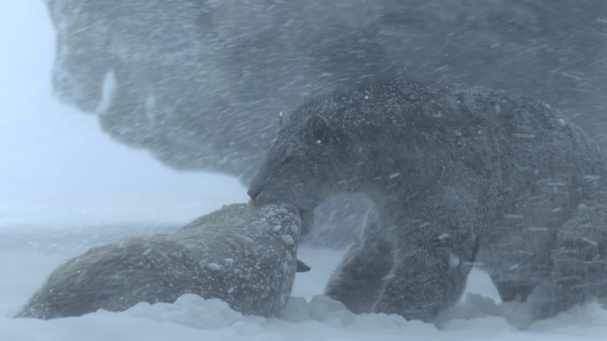 Homotherium Gallery | Prehistoric Planet Wiki | Fandom
