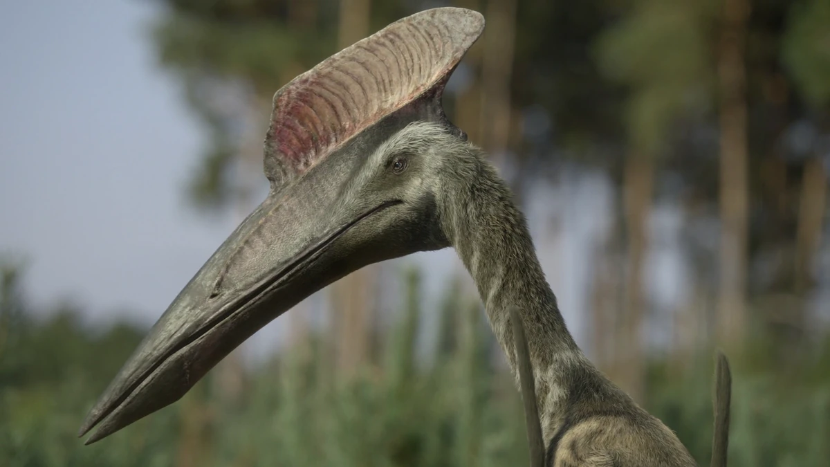 Category:Pterosaurs | Prehistoric Planet Wiki | Fandom