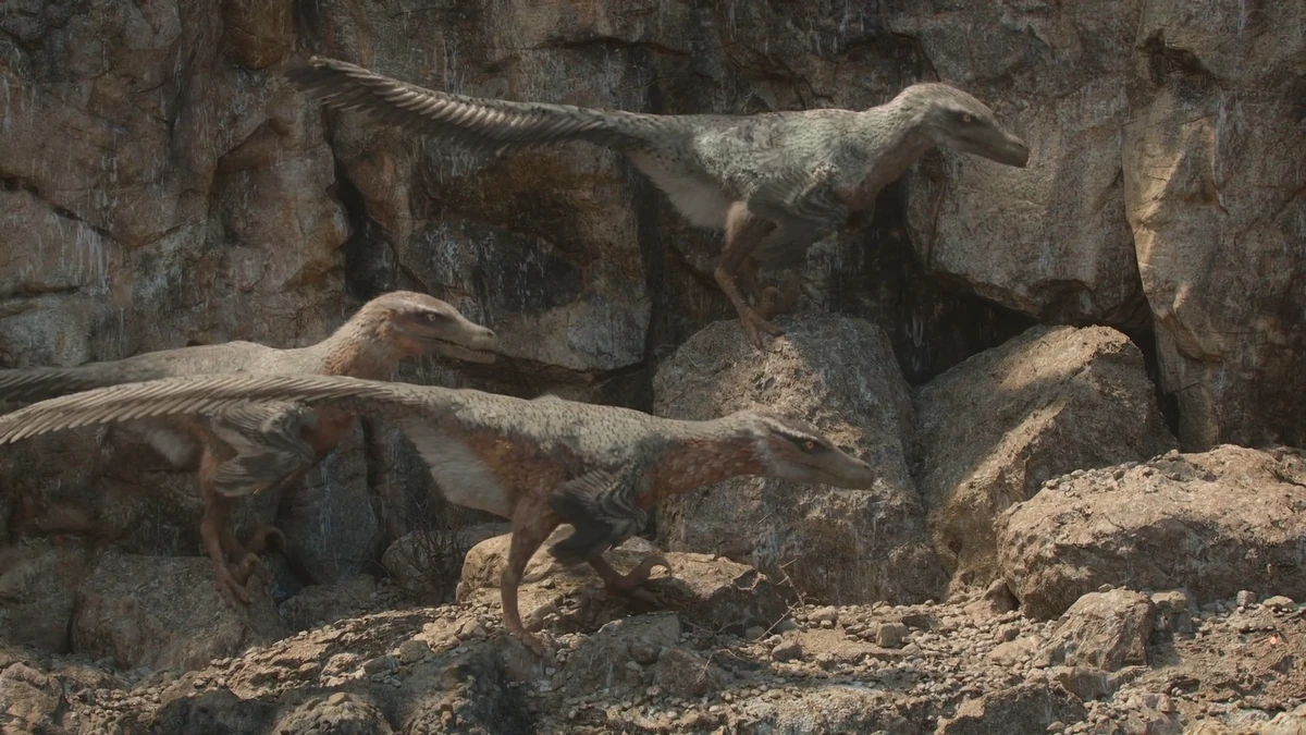 Velociraptor Relatives