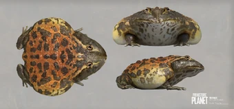 prehistoric frog size