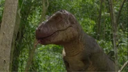 Tyrannosaurus rex | Prehistoric Planet Wiki | Fandom