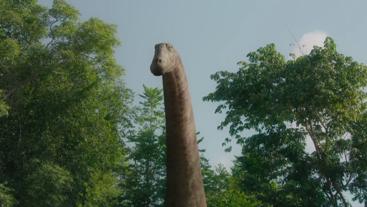 Category:Brazilian Animals | Prehistoric Planet Wiki | Fandom