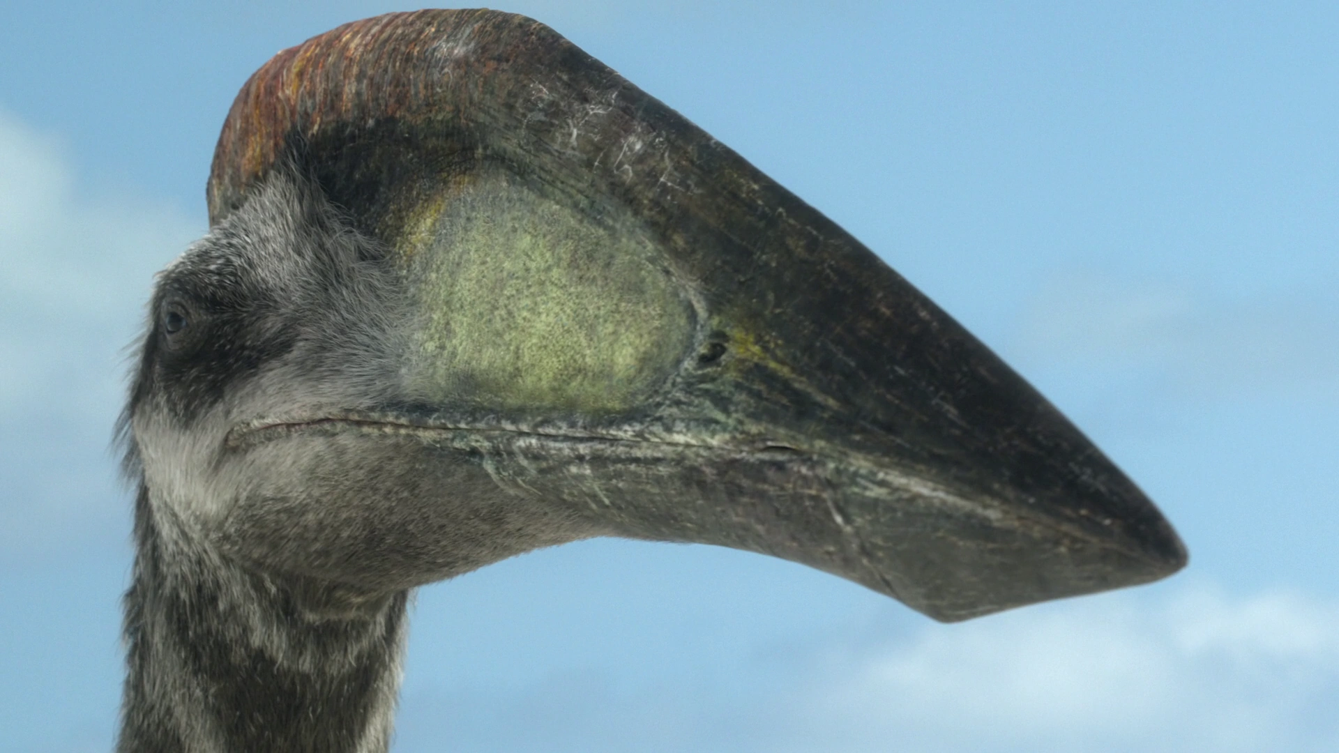 largest prehistoric bird