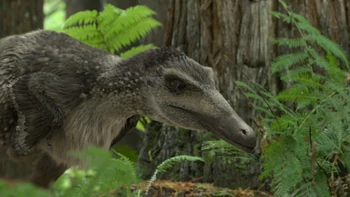 Austroraptor | Prehistoric Planet Wiki | Fandom