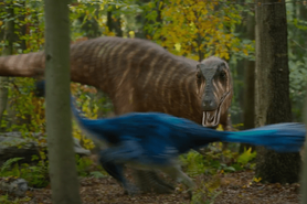 Qianzhousaurus | Prehistoric Planet Wiki | Fandom