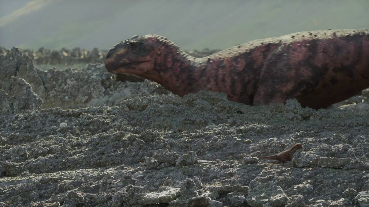 Rajasaurus Segments Prehistoric Planet Wiki Fandom