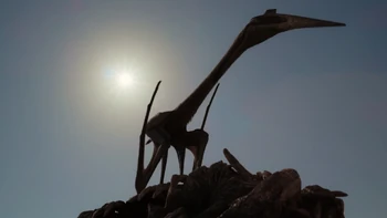 Mongolian Azhdarchid | Prehistoric Planet Wiki | Fandom