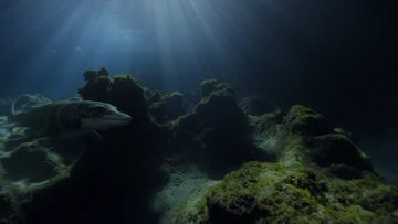 Phosphorosaurus | Prehistoric Planet Wiki | Fandom