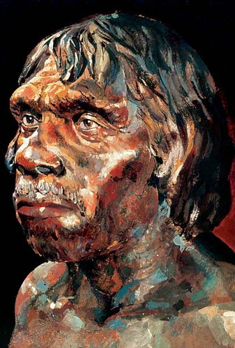 Homo heidelbergensis | Prehistoric Wiki | Fandom