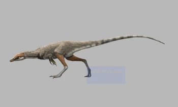 Compsognathus | Prehistoric Wiki | Fandom