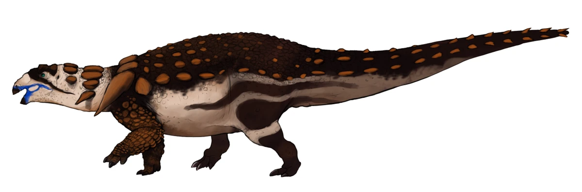 Palaeoscincus | Prehistoric Wiki | Fandom