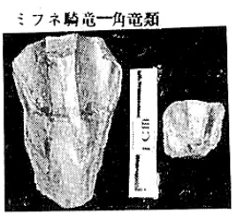 Mihunekisaurus | Prehistoric Wiki | Fandom