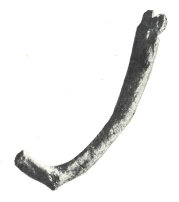 Manu | Prehistoric Wiki | Fandom