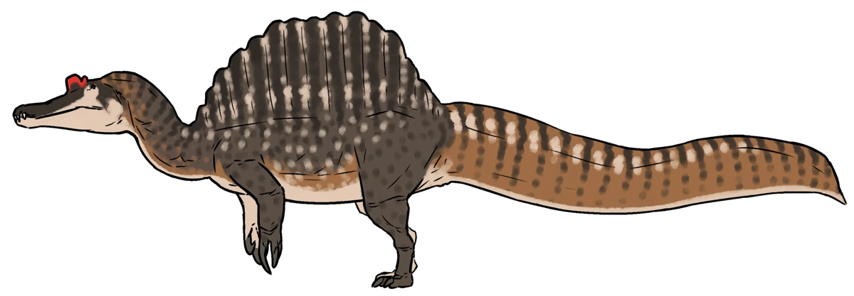 Sigilmassasaurus | Prehistoric Wiki | Fandom