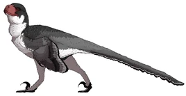 Atrociraptor | Prehistoric Wiki | Fandom