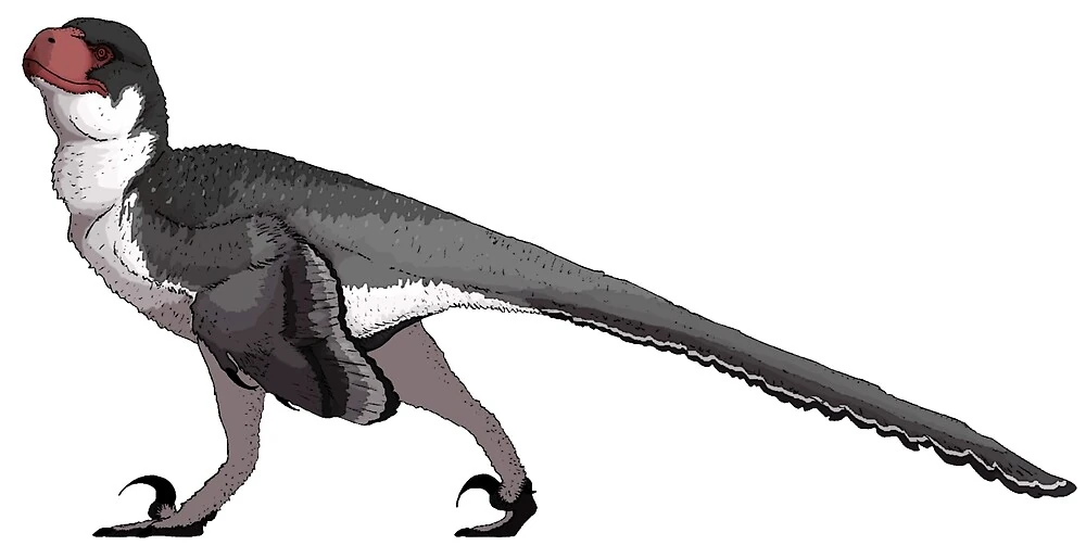 Atrociraptor | Prehistoric Wiki | Fandom