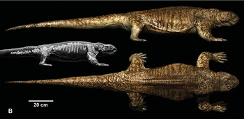 Ennatosaurus | Prehistoric Wiki | Fandom