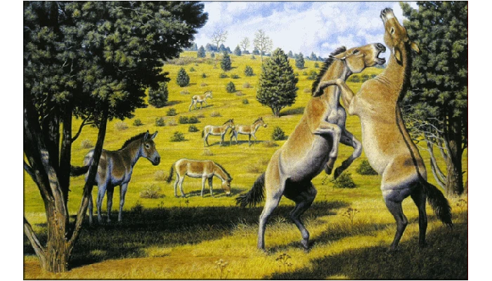 Equus altidens | Prehistoric Wiki | Fandom