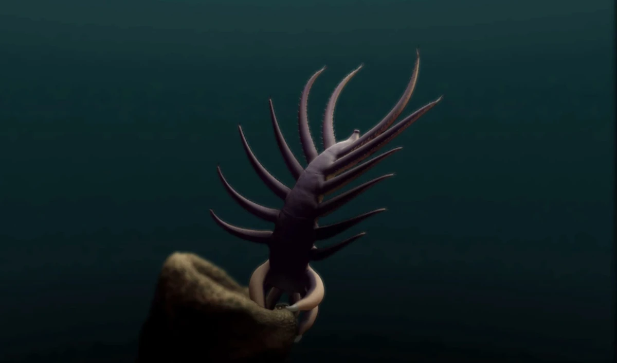 Ovatiovermis | Prehistoric Wiki | Fandom