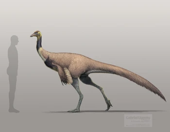 Ornithomimus | Prehistoric Wiki | Fandom