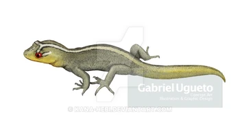 Ardeosaurus | Prehistoric Wiki | Fandom