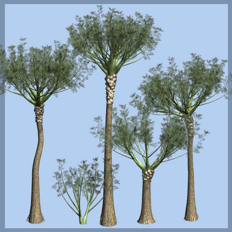 Wattieza | Prehistoric Wiki | Fandom