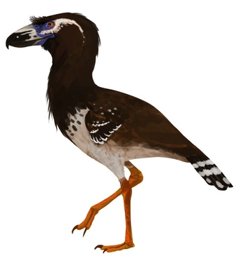 Pseudolarus | Prehistoric Wiki | Fandom