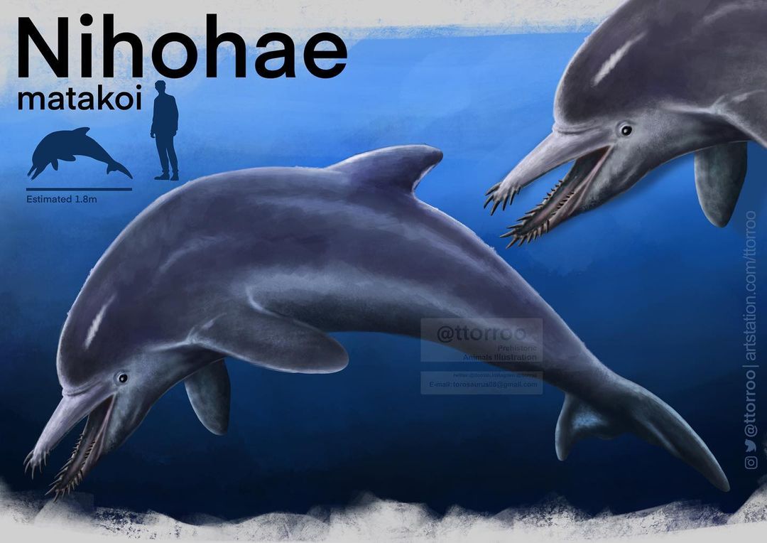 Nihohae | Prehistoric Wiki | Fandom