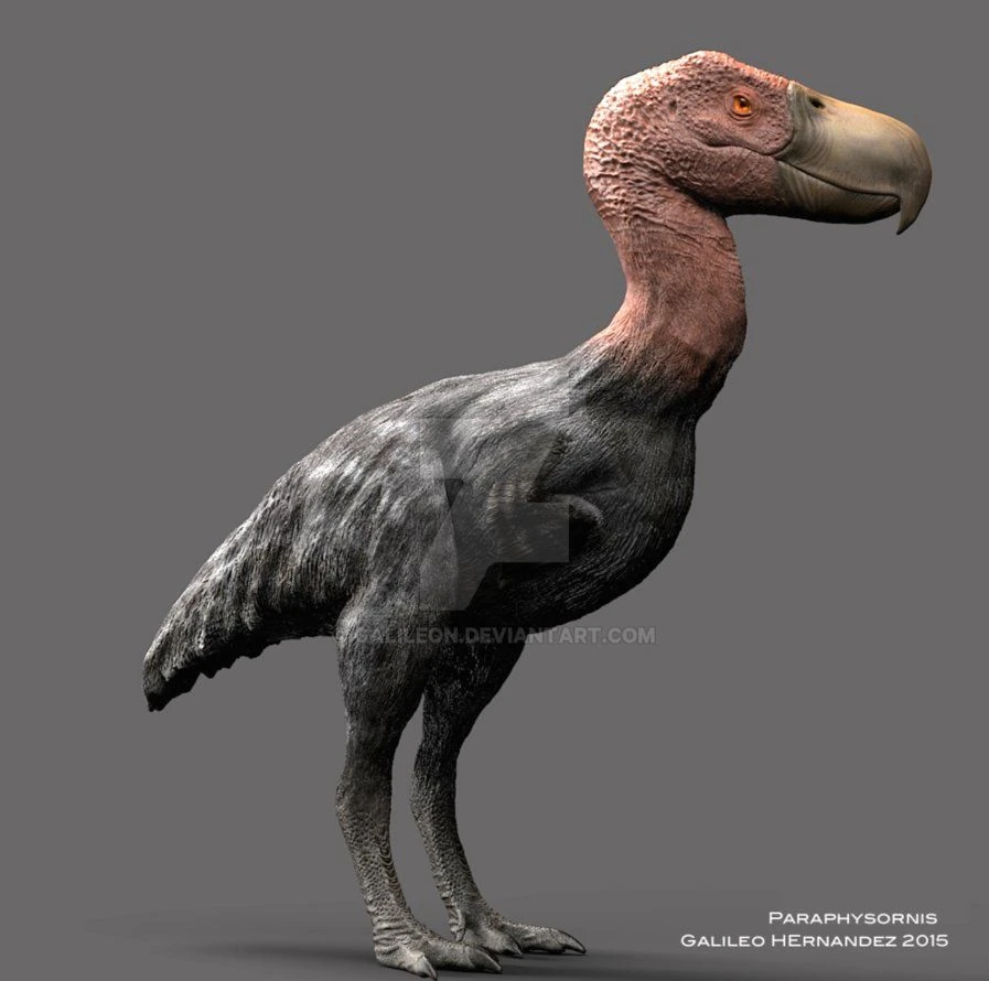 Paraphysornis | Prehistoric Wiki | Fandom