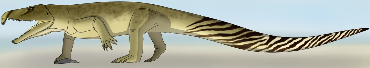 Proterosuchus