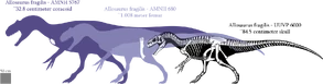 Allosaurus | Prehistoric Wiki | Fandom