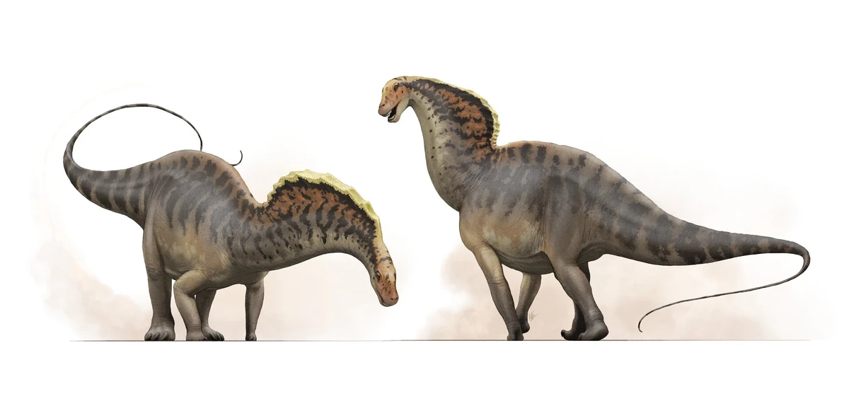 Amargasaurus | Prehistoric Wiki | Fandom