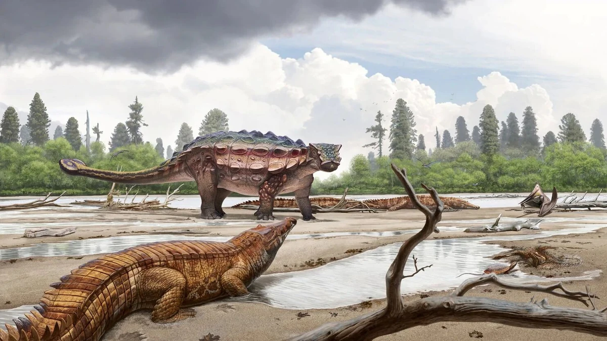 Denazinosuchus | Prehistoric Wiki | Fandom