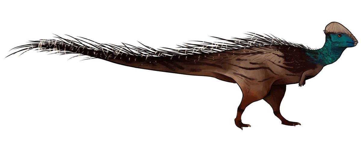 Sphaerotholus | Prehistoric Wiki | Fandom