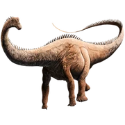 Diplodocus | Prehistoric Wiki | Fandom