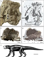 Ogresuchus | Prehistoric Wiki | Fandom