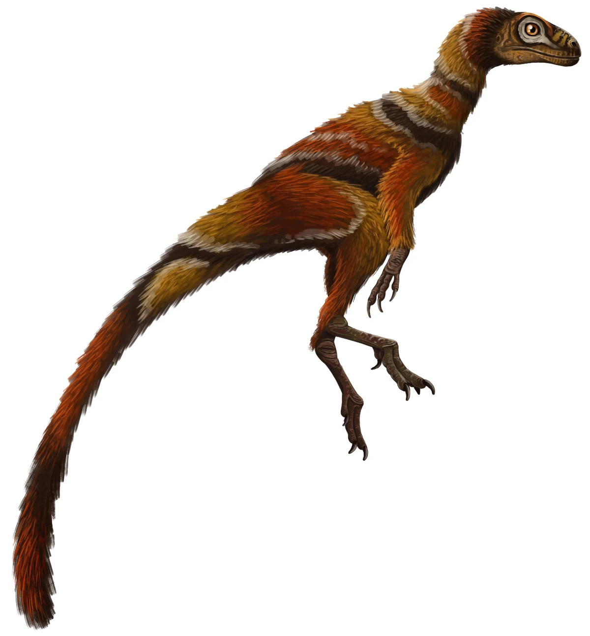 Daemonosaurus | Prehistoric Wiki | Fandom