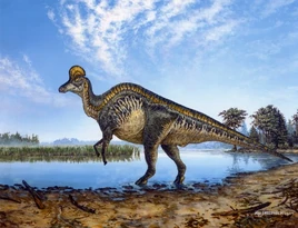 Corythosaurus | Prehistoric Wiki | Fandom