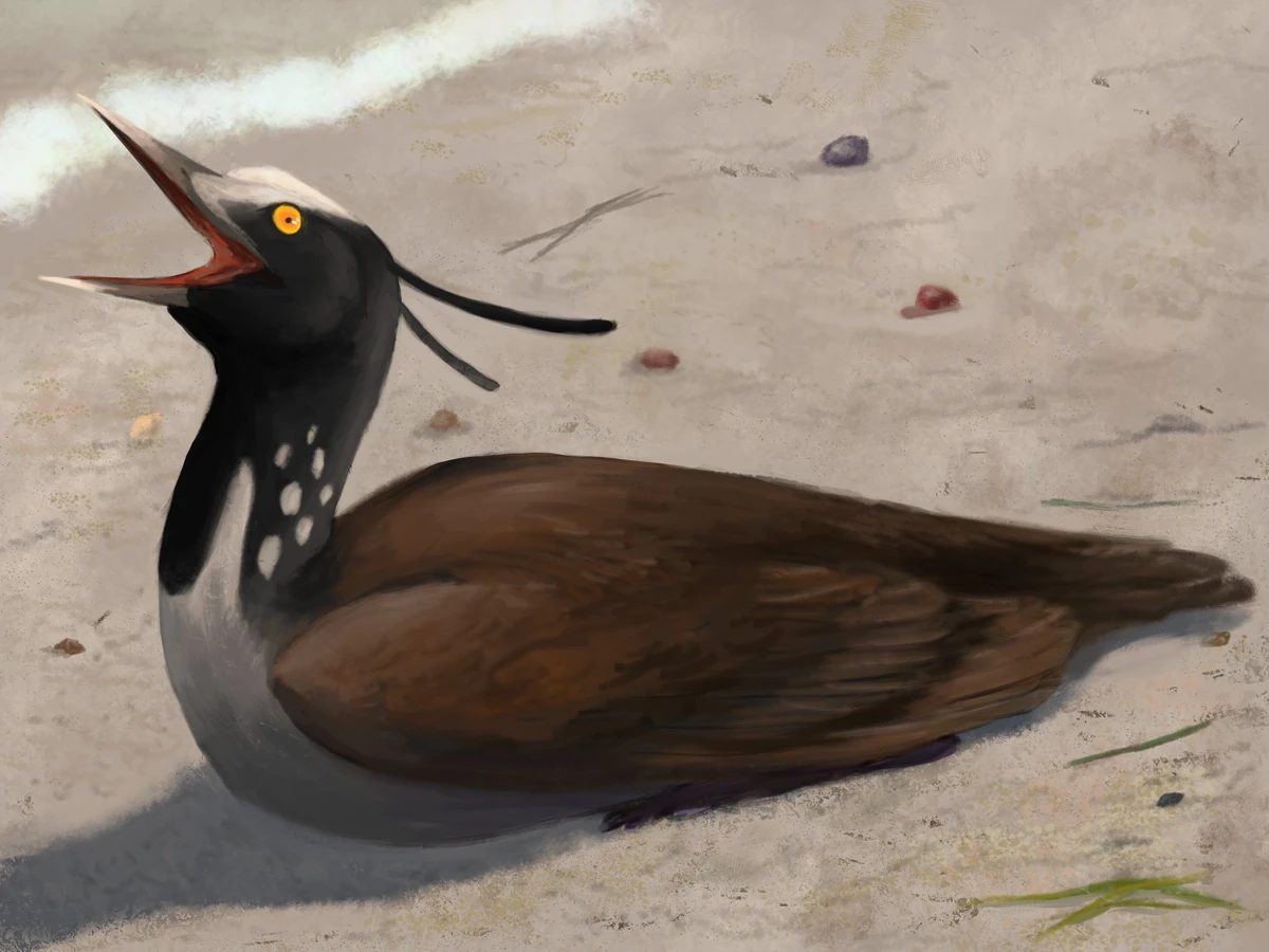 Maaqwi | Prehistoric Wiki | Fandom