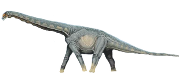 Sulaimanisaurus | Prehistoric Wiki | Fandom