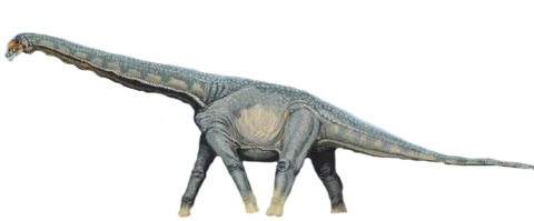 Sulaimanisaurus | Prehistoric Wiki | Fandom