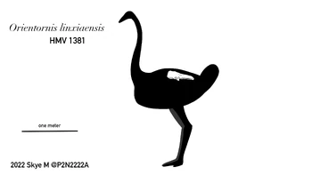 Orientornis | Prehistoric Wiki | Fandom