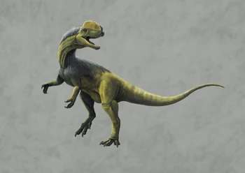 Sinosaurus | Prehistoric Wiki | Fandom