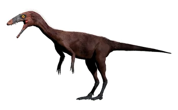 Notatesseraeraptor | Prehistoric Wiki | Fandom