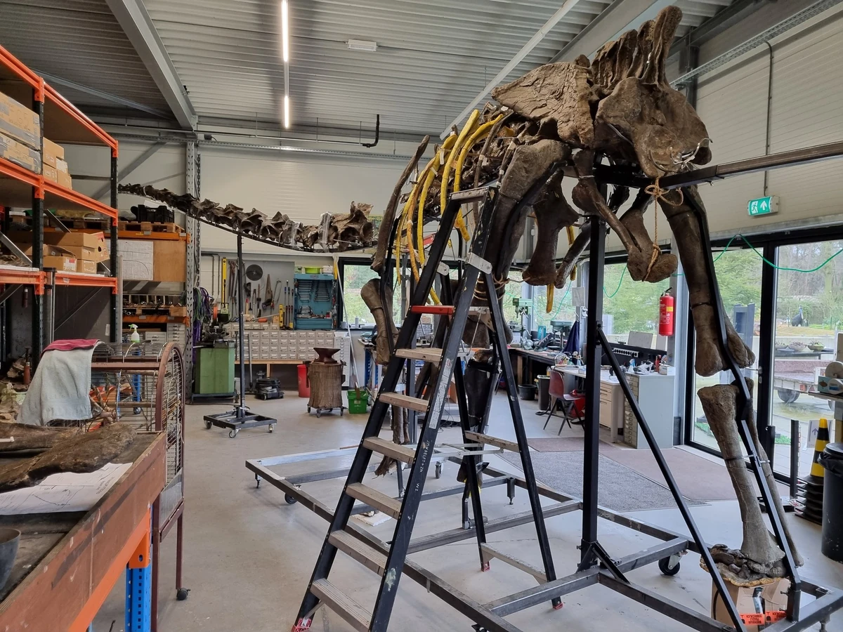 Brösmeli | Prehistoric Wiki | Fandom